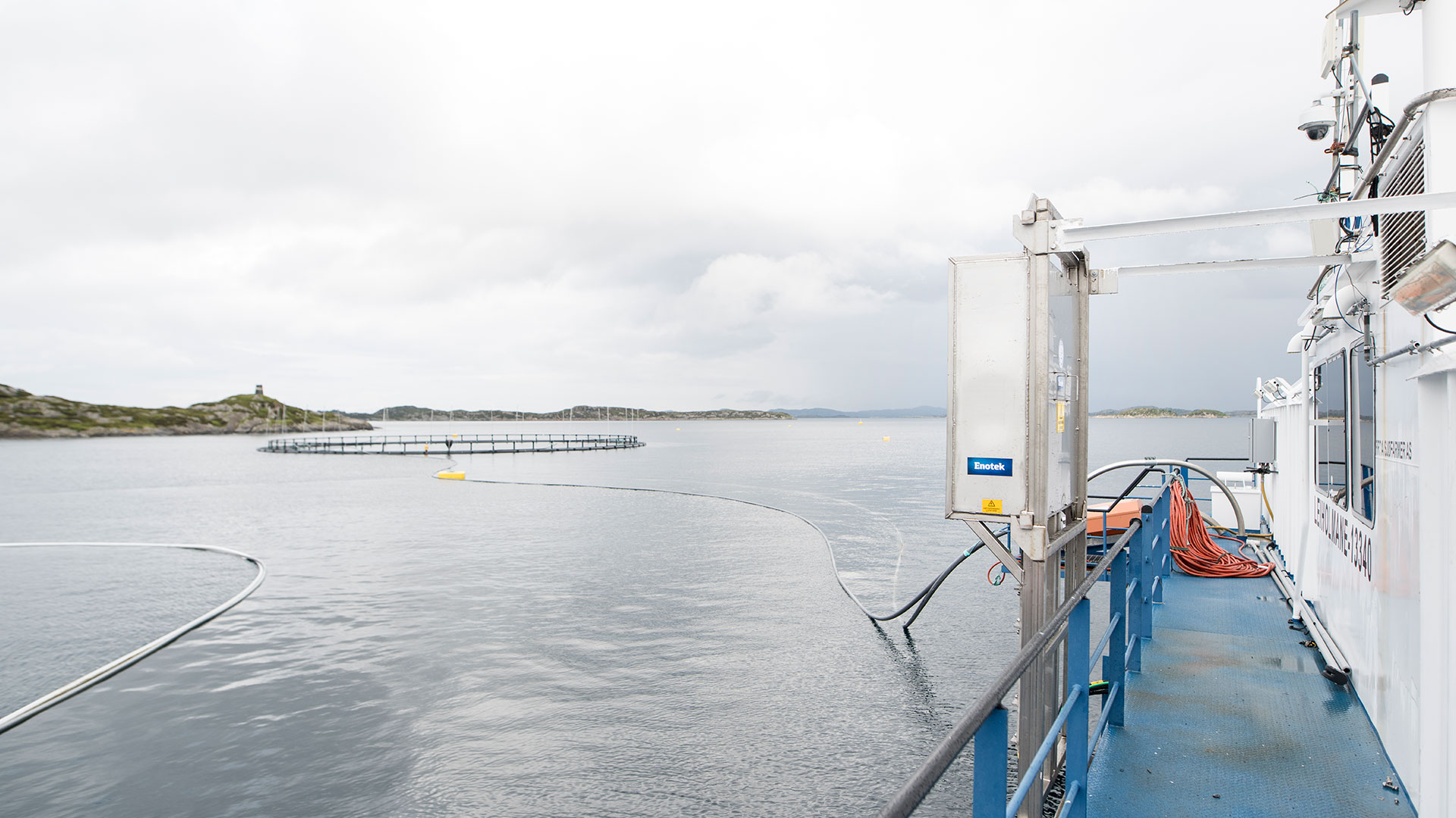 Feeding systems - sea and land | Fluctus