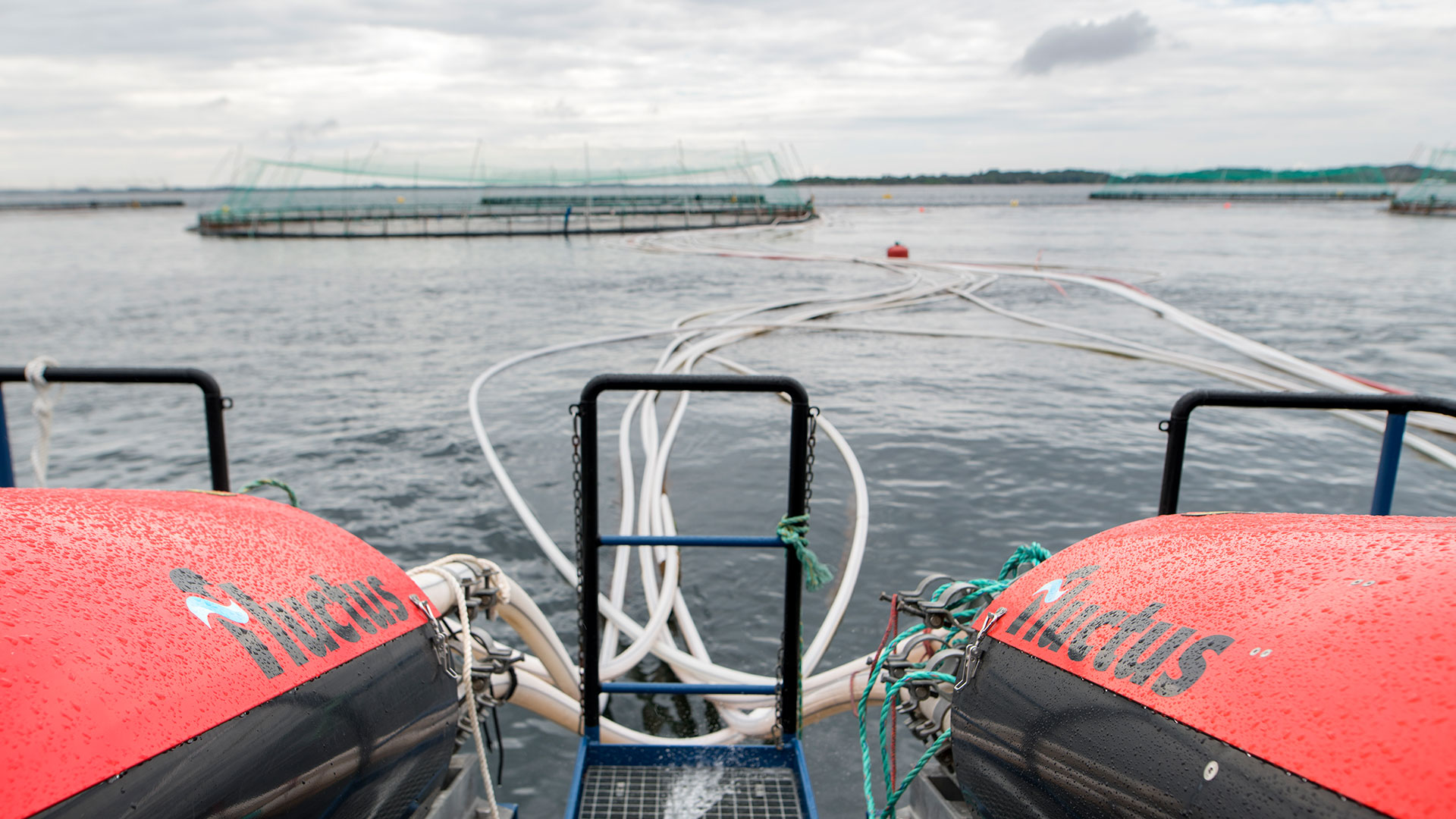 Personvern | Flutctus