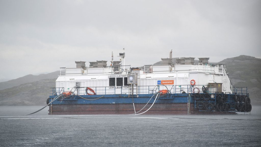 A waterborne feeding future? | Fluctus