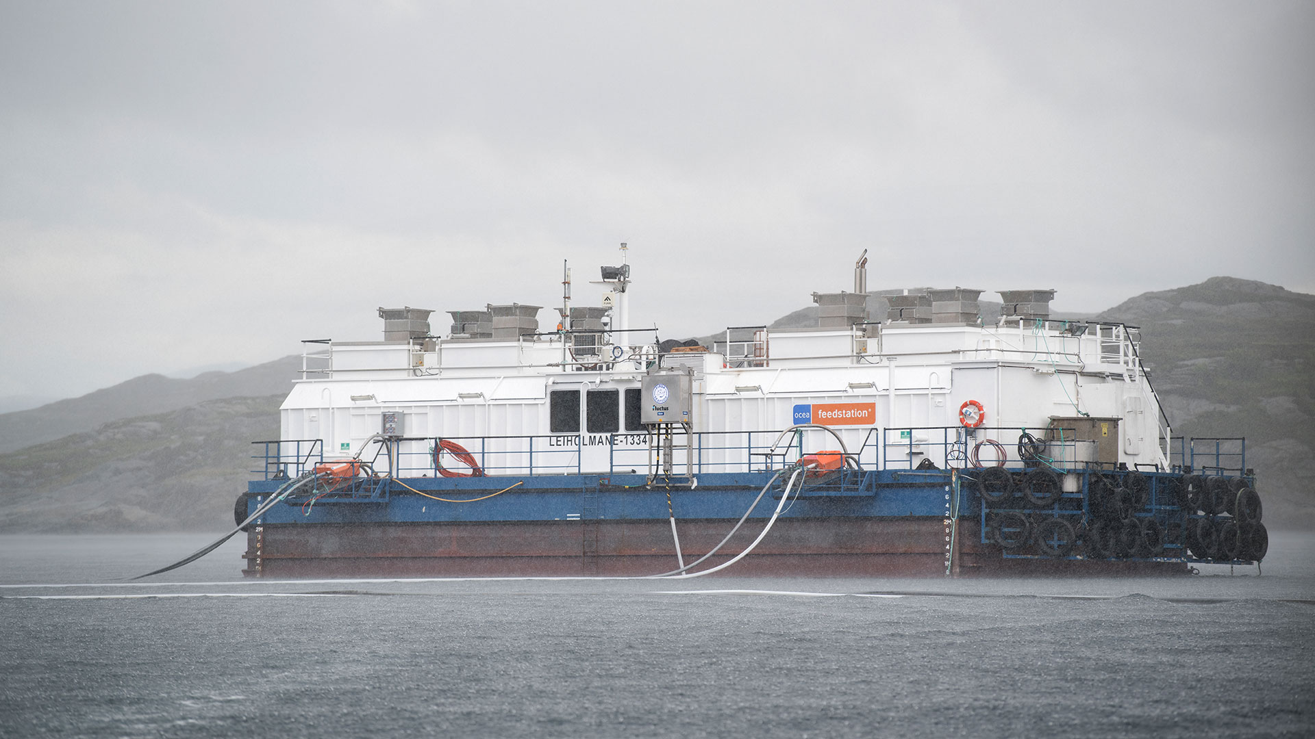 A waterborne feeding future? | Fluctus