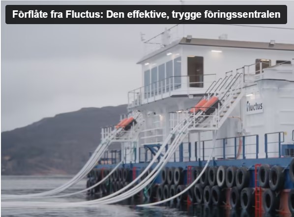 Hvorfor fôrflåter fra Fluctus? | Fluctus