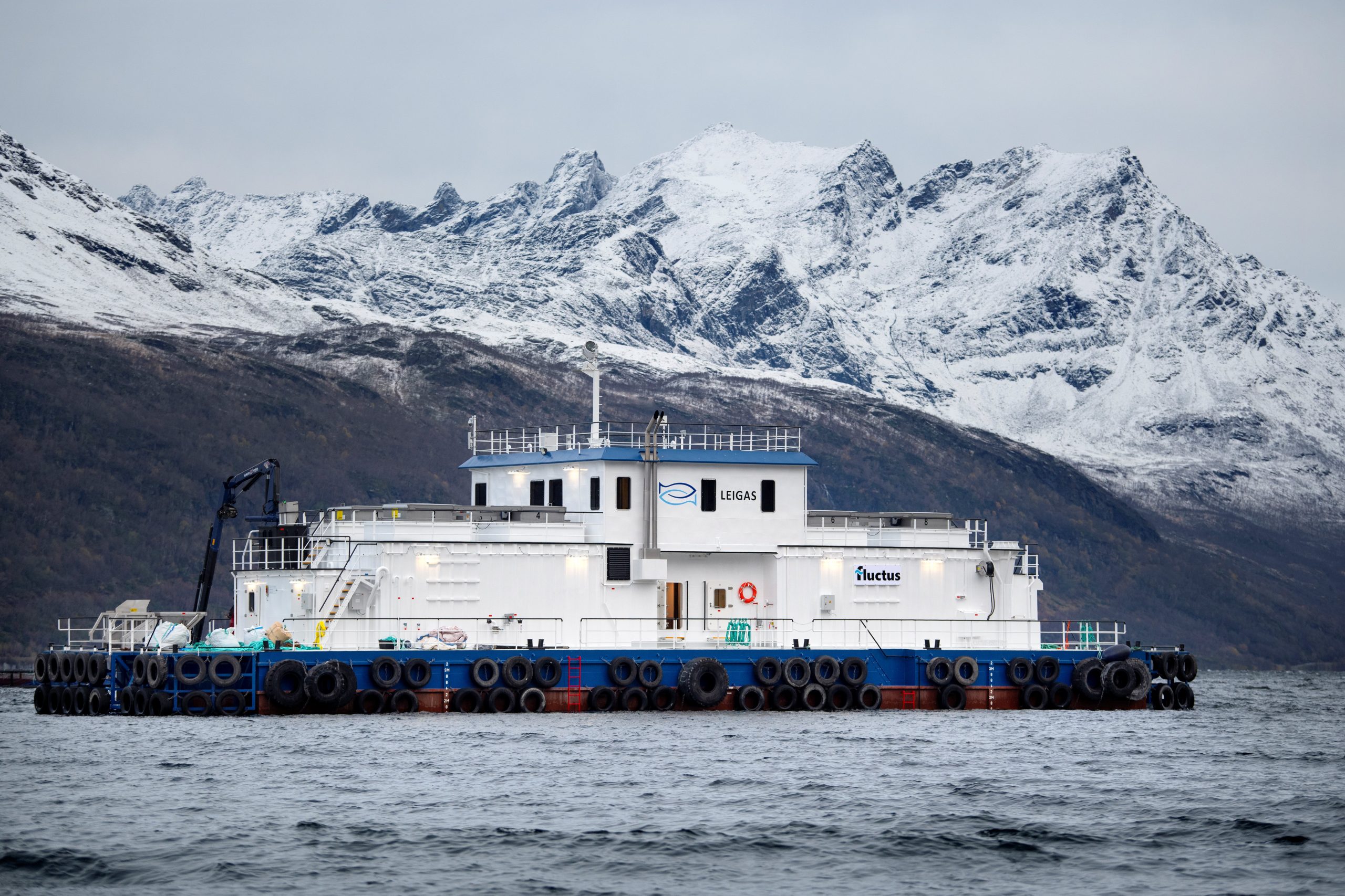 Gratanglaks | Fluctus