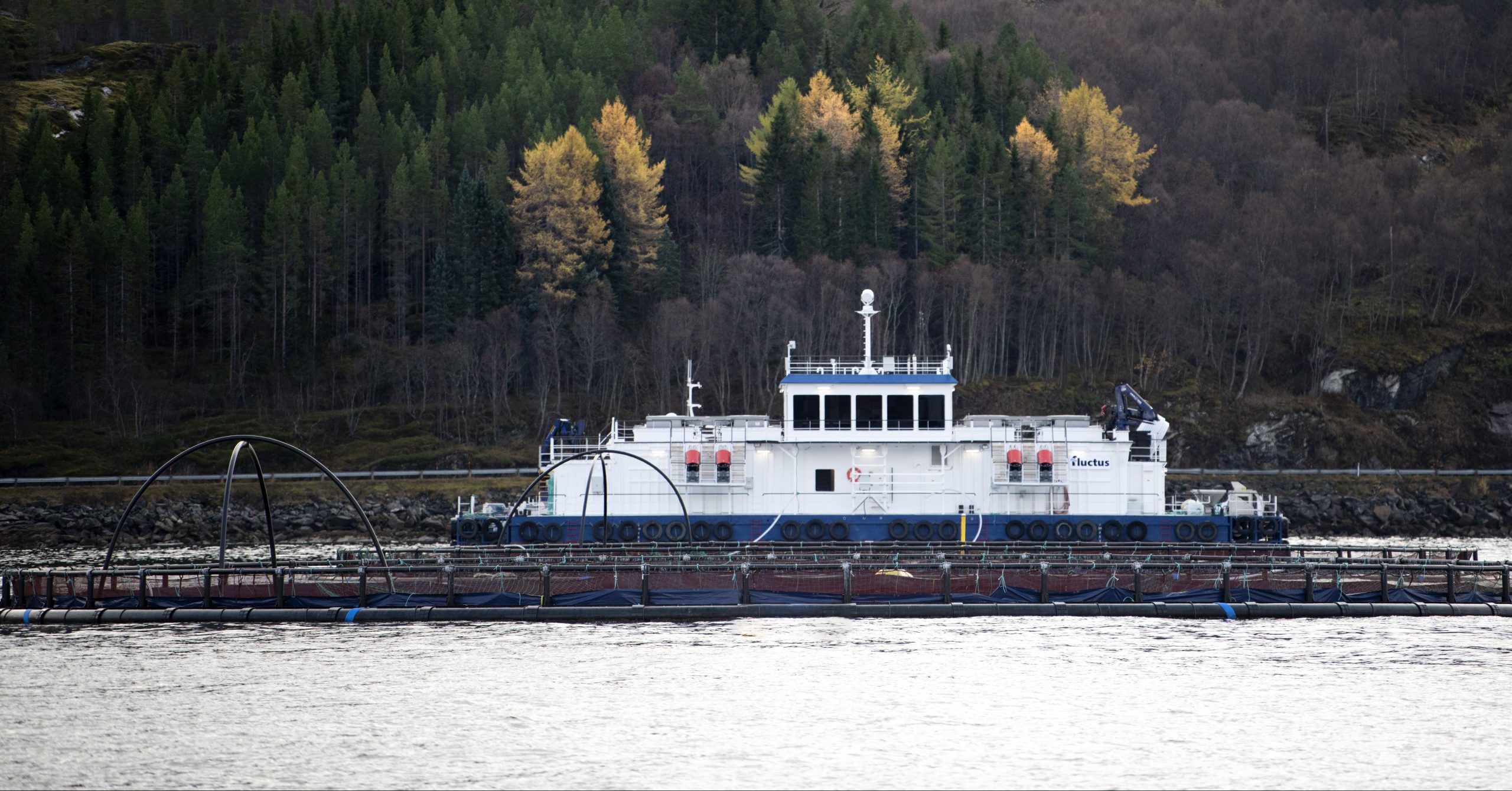 Der fôrflåter flyte kan | Fluctus